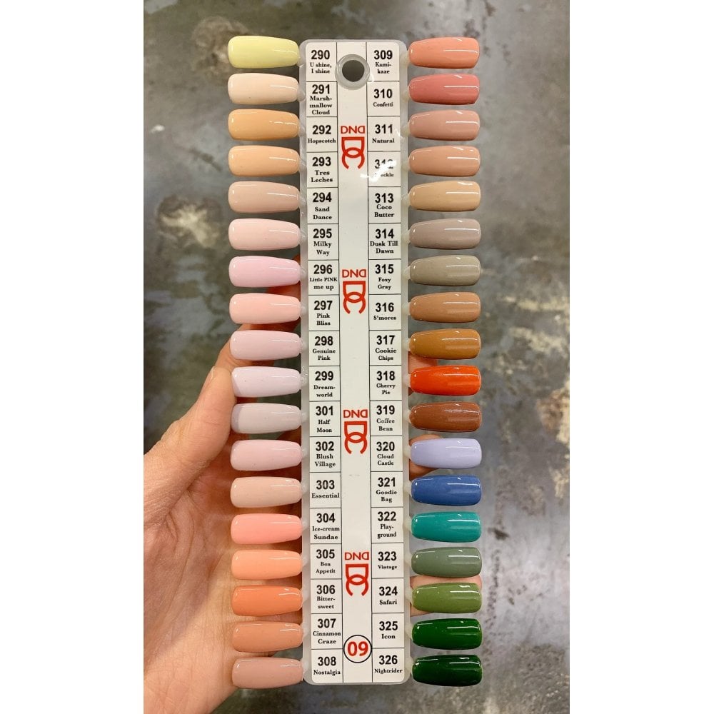 DND Duo Color Swatches Palette
